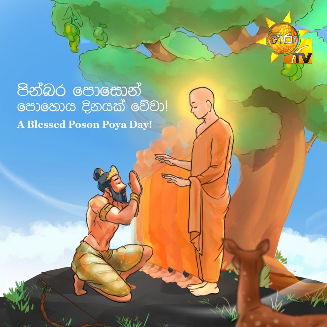 Hiru Wishes